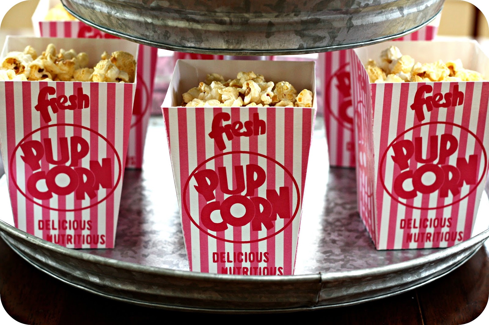 Keeping My Cents Dog Birthday Party Ideas keeping-my-cents-dog-birthday-party-ideas