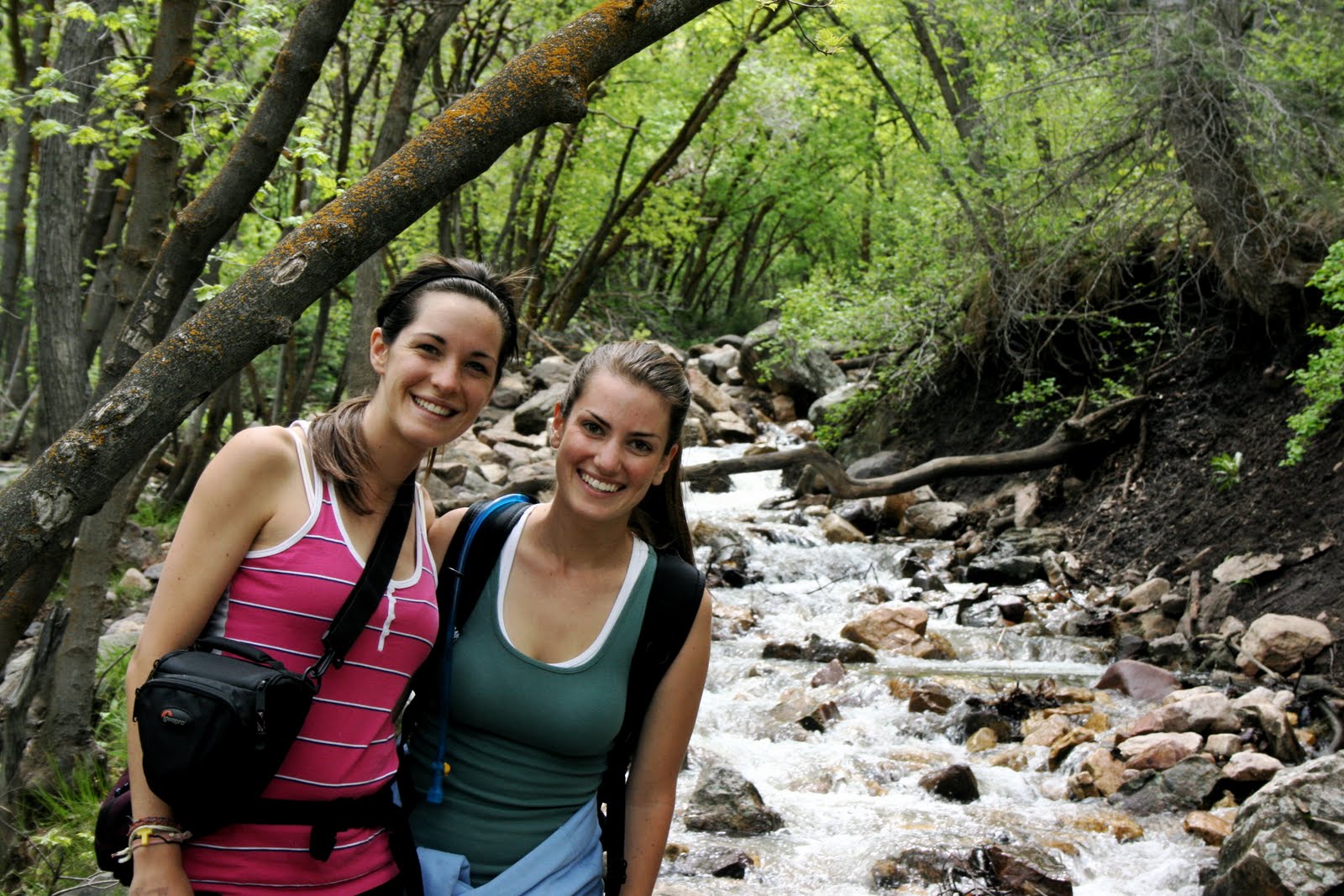 Most Epic Road Trip Ever.: Neff's Canyon, Salt Lake City UT