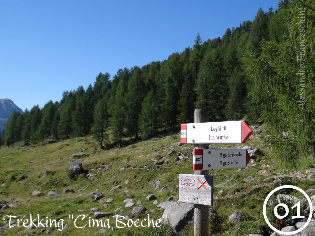 Trekking in Trentino: Juribrutto > Cima Bocche > lago di Lusia
