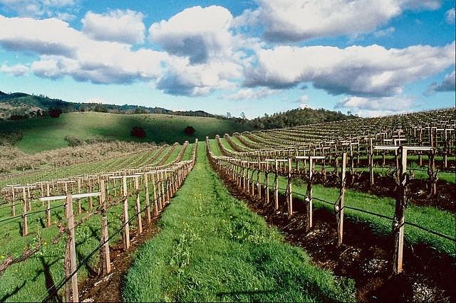 Albanija: POLJOPRIVREDA