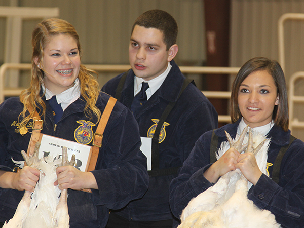 Students prepare for 35th annual Spring Branch FFA Show & Sale ~ The ...