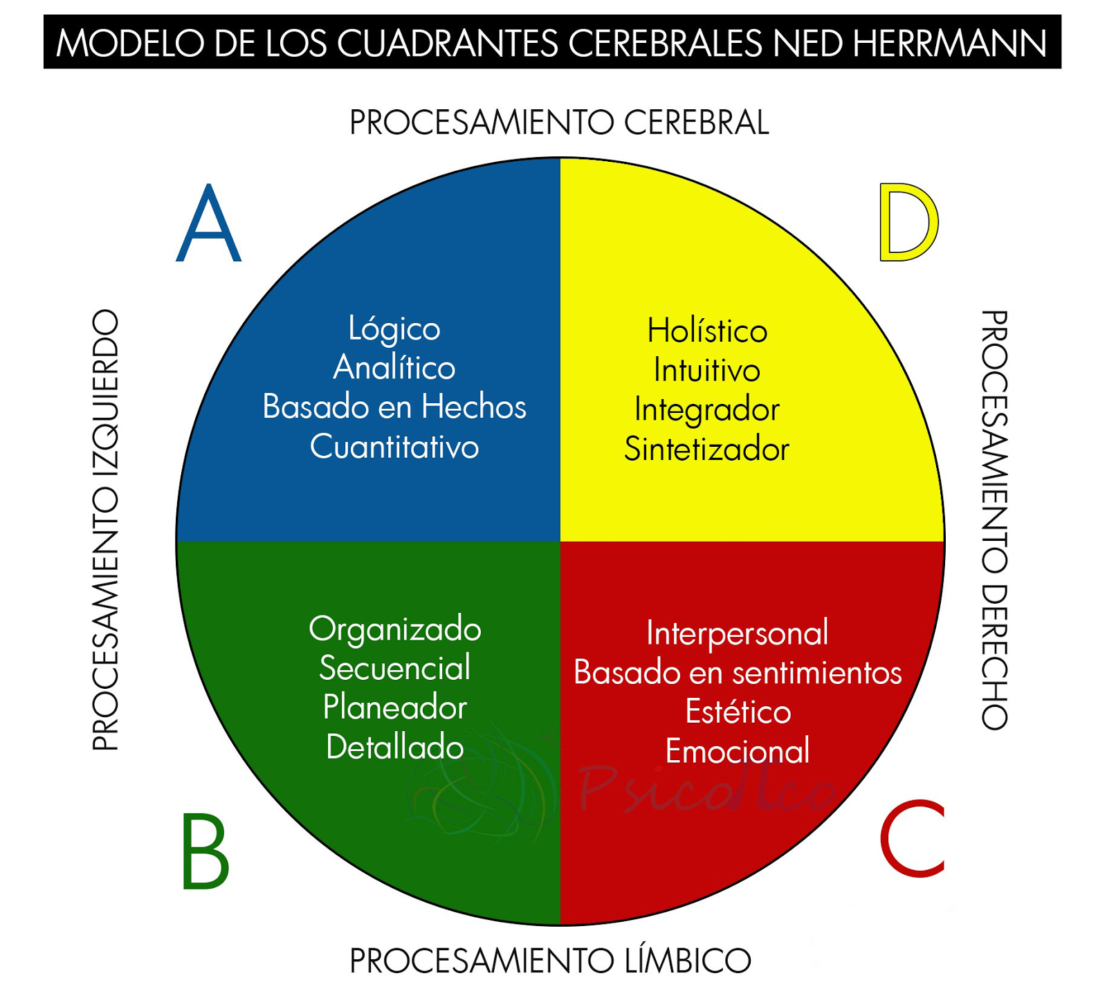La Dominancia Cerebral según los cuadrantes de Herrmann ~ LA MENTE MECÁNICA