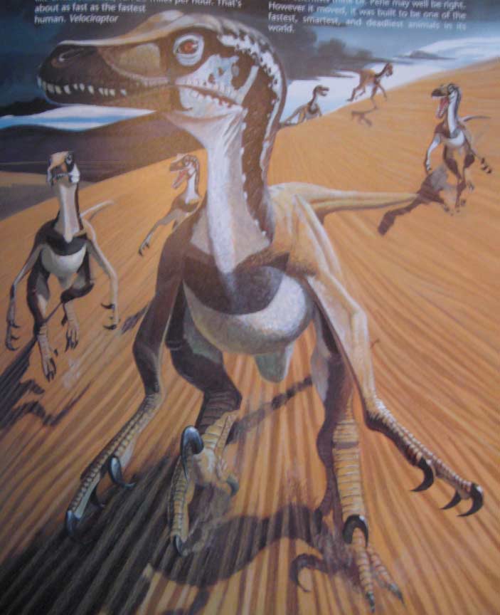 AGATHAUMAS: Il ritorno di David Peters