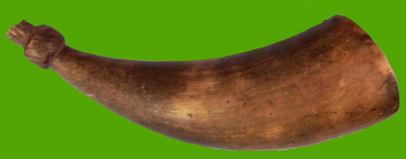 A Woodsrunner's Diary: Wood Bison & Powder Horns.