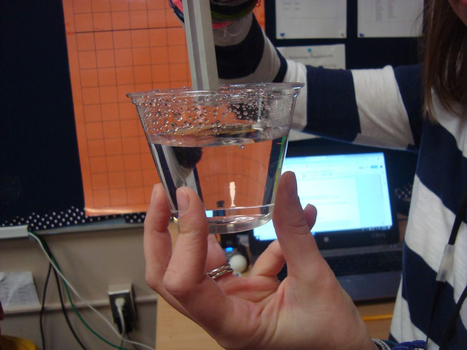 Mrs. Kelly's First Grade Class: Sound Experiments