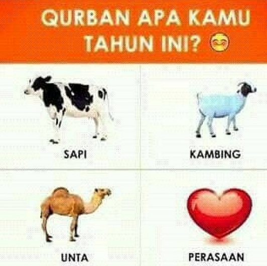 11 Meme Lucu Bikin Ngakak Curhatan Kambing Jelang Eksekusi