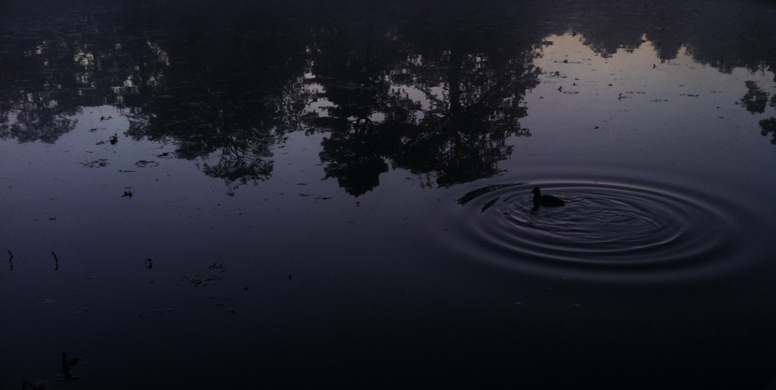 Human Nature - Kris Worsley Wildlife Photography: Mobile Phone Nature ...