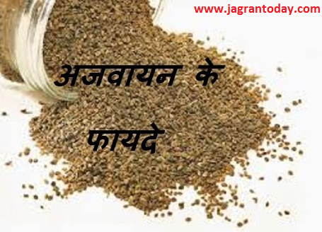 Ghar ka Vaidh Ajvaayan | घर का वैध अजवायन | Multi Beneficial Parsley ...