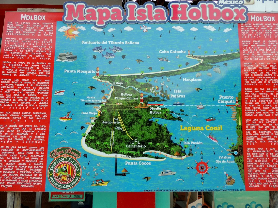 Sparky's Epic Adventure: Isla Holbox – a different kind of paradise