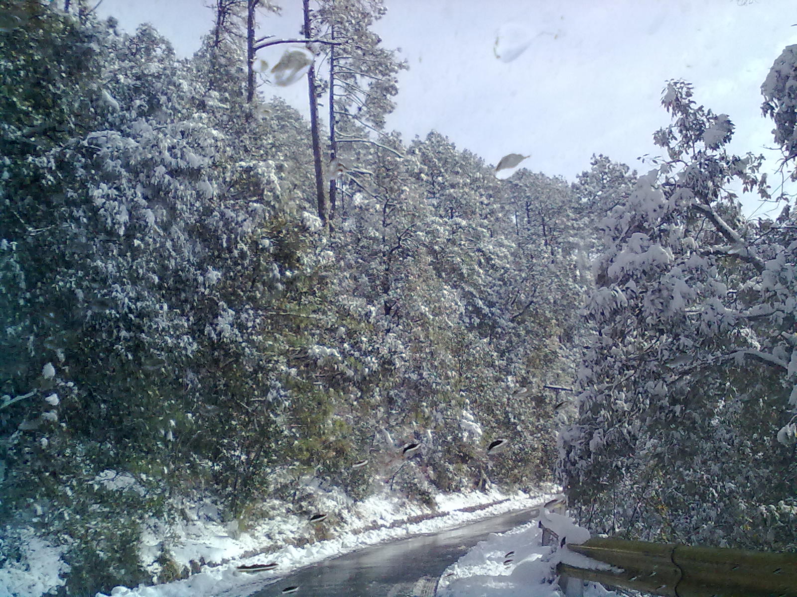 Murree Heaven On Earth: Snow Falling........Murree