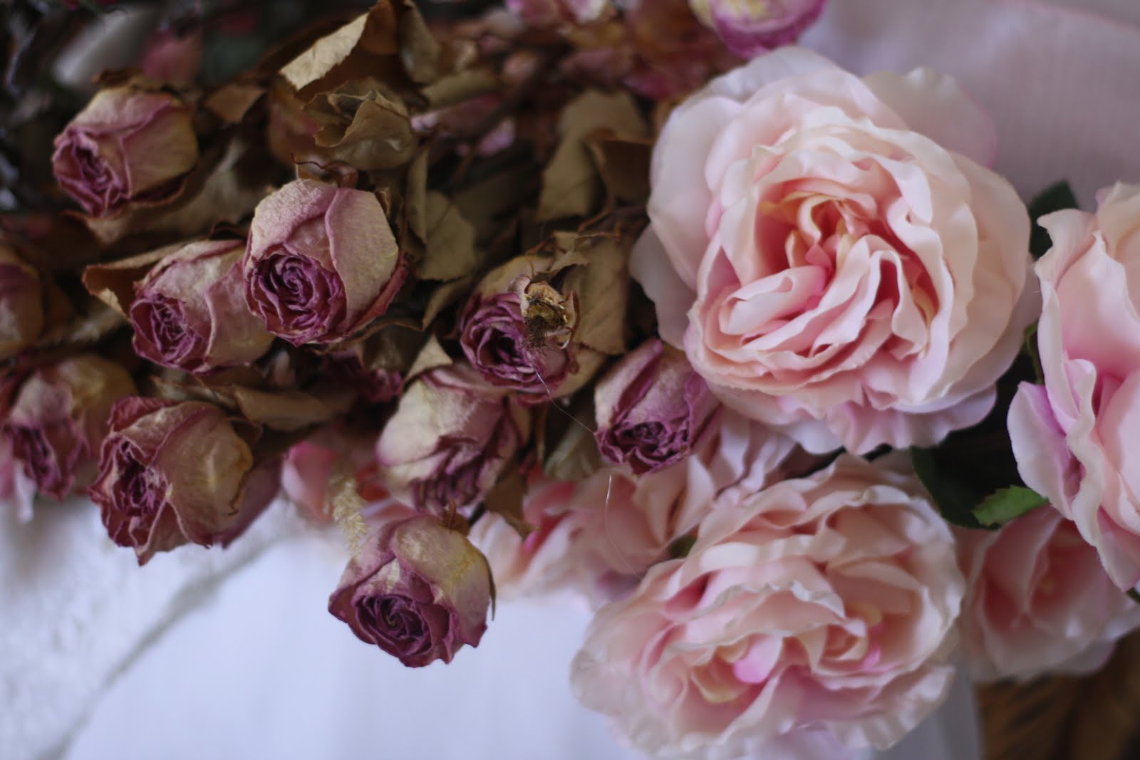 .: Dried roses love