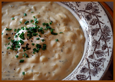 Notes from Maggie's Farm: potage parmentier