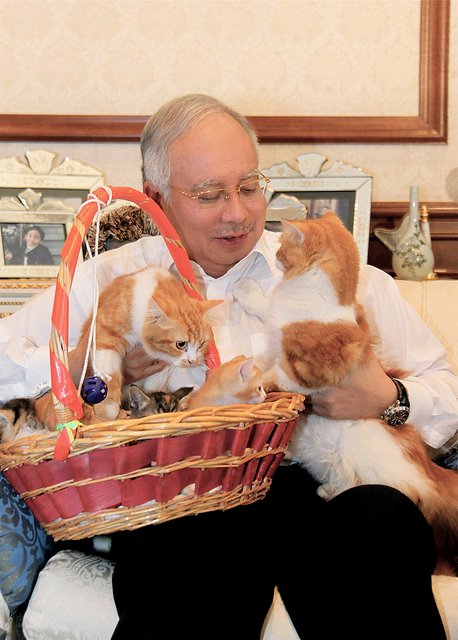 391. Dato Seri Najib - Pencinta Kucing!