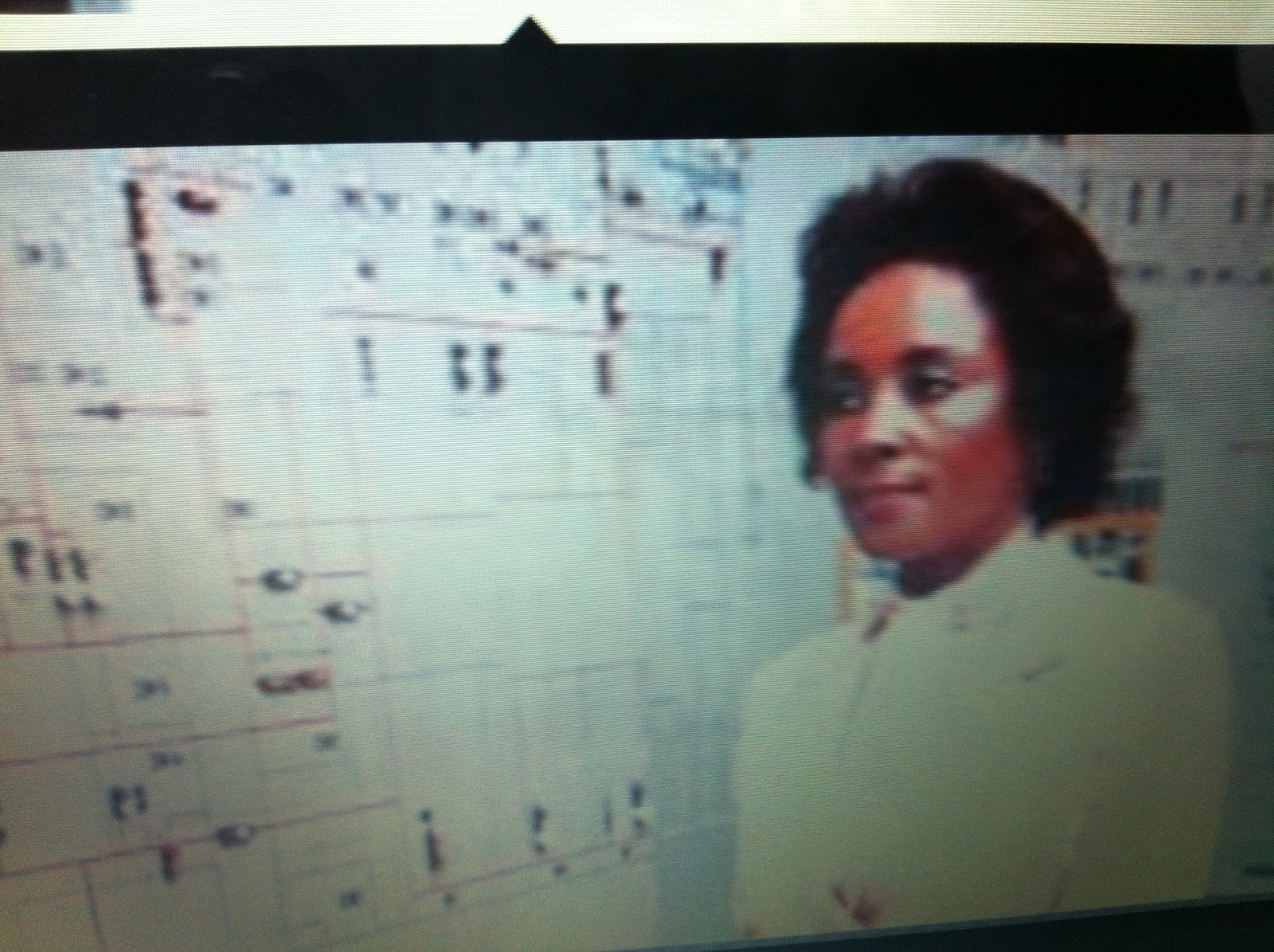 THE BLACK SOCIAL HISTORY:: BLACK SOCIAL HISTORY - AFRICAN AMERICAN ...