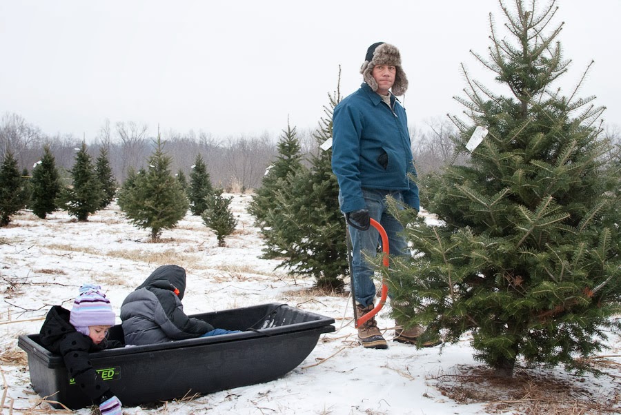 My Trash and Treasure: 12/1/13 - 1/1/14