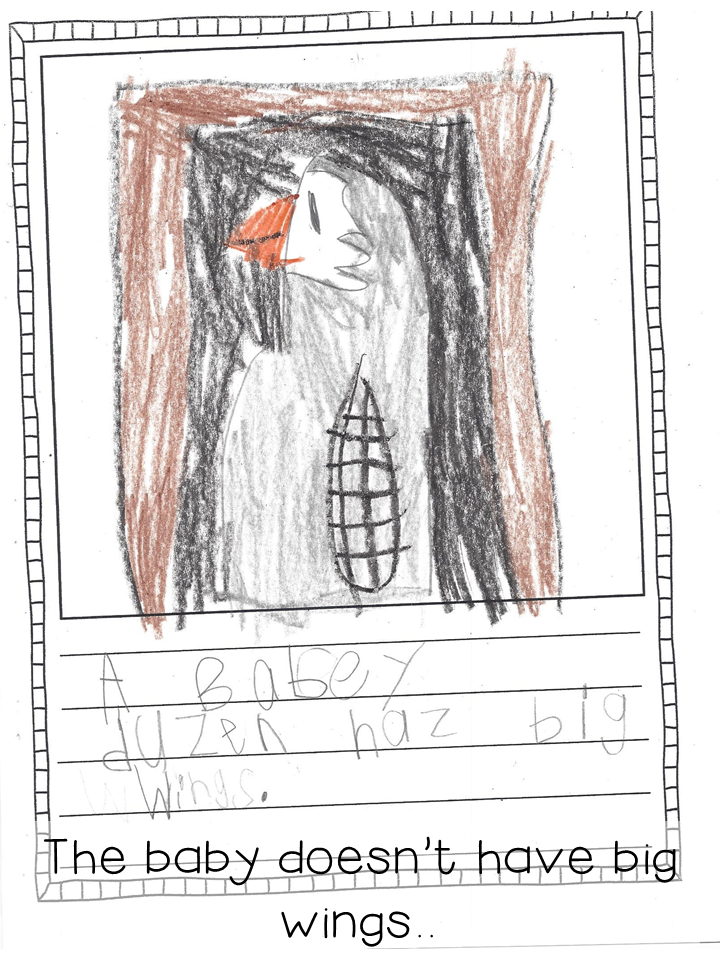 informational writing in kindergarten with student samples