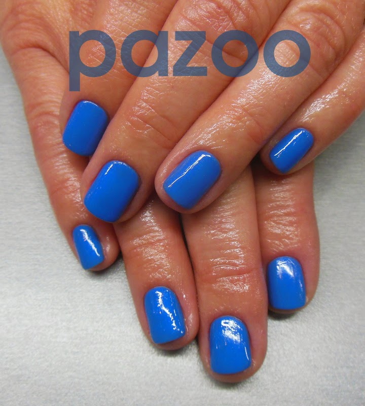 PAZOO BLOG: ELECTRIC BLUE