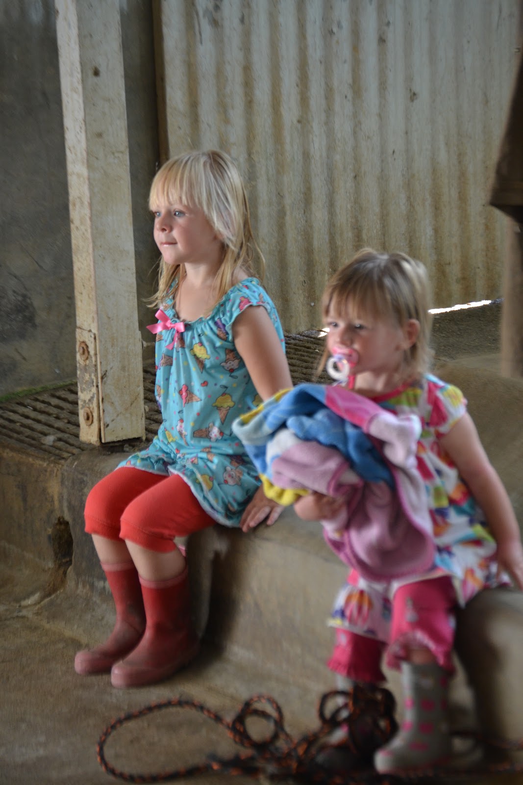 Little Ladies and Lambs: Role Model....Marsha Marsha Marsha!!