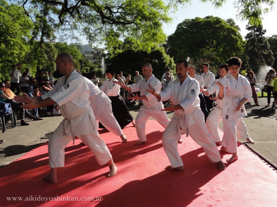 Demostración Aikido Yoshinkan en el Jardín Japonés. Fotos