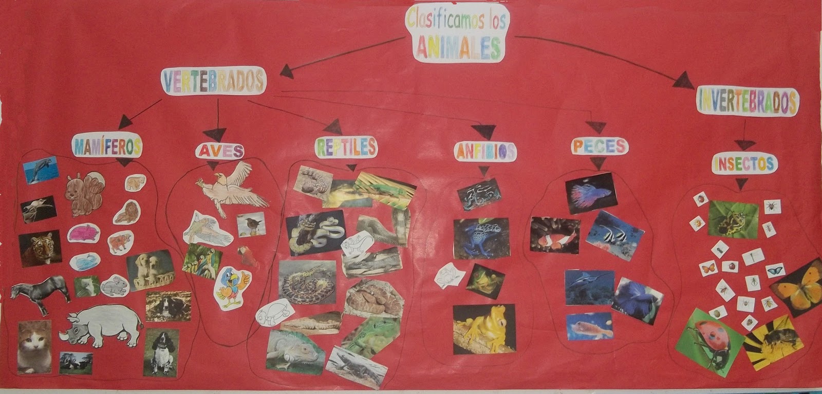 COLEGIO VIRGEN DEL ROMERAL: Nos encantan los animales...