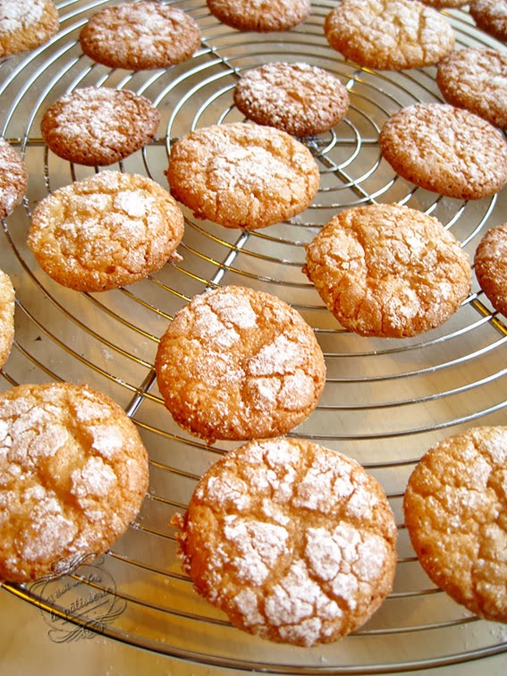 Macarons à l'ancienne : des macarons faciles et rapides ! : Il était ...