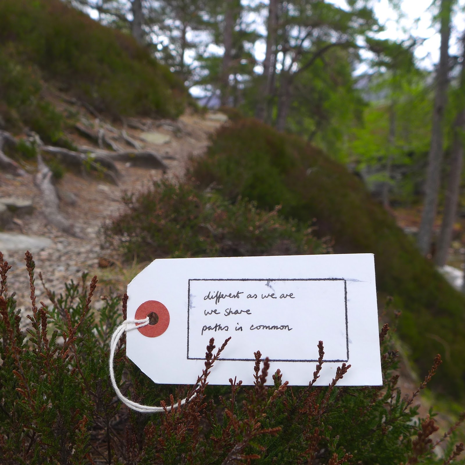 gathering: Paths & Walking