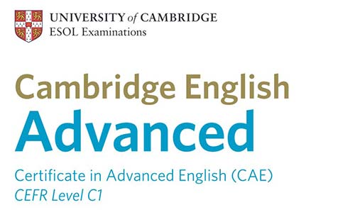 How to pass the Cambridge Advanced Exam (preparing it on your own ...