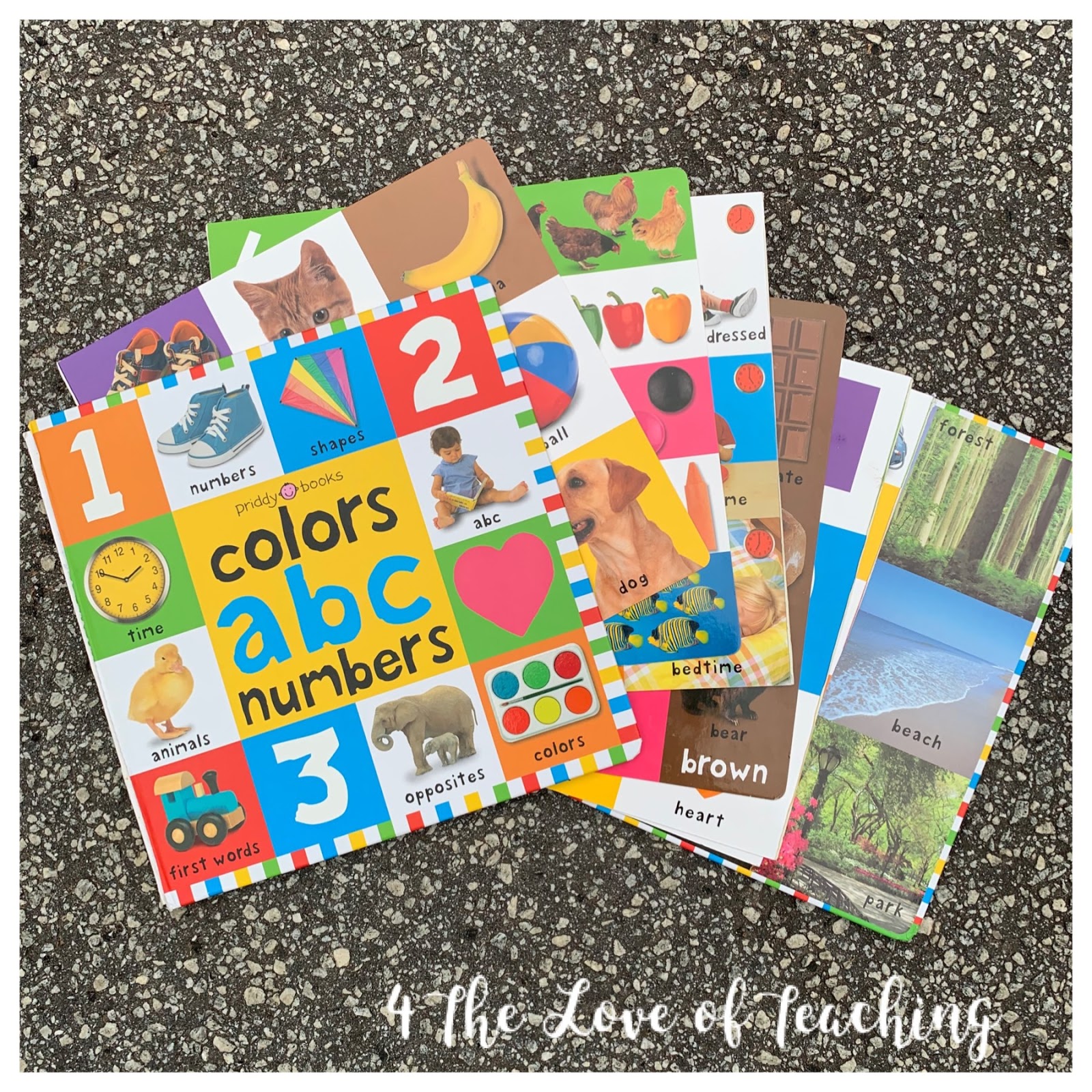 Visual Scanning Activity - For the Love of Teaching