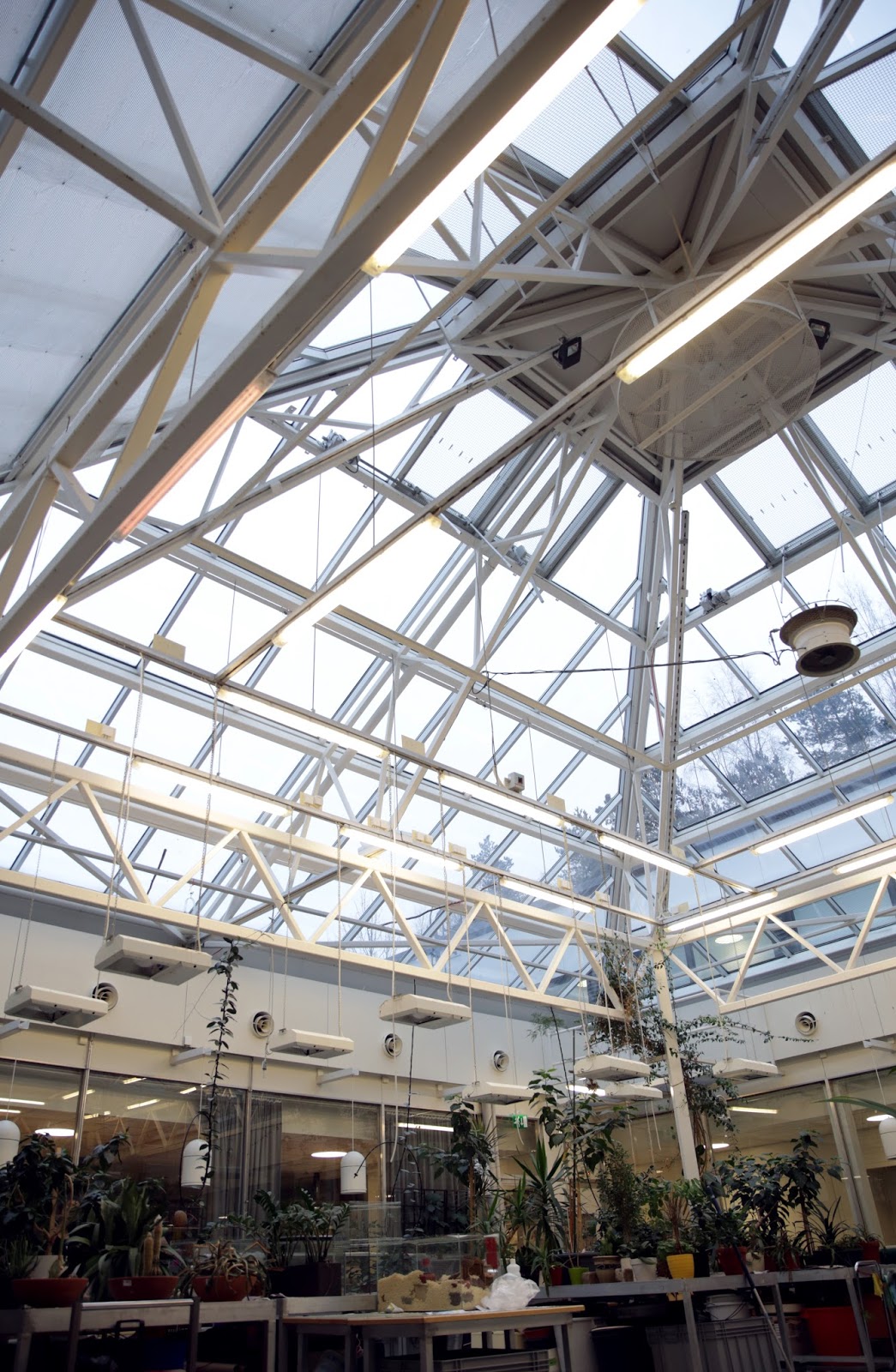 Vesalan peruskoulu, Helsinki