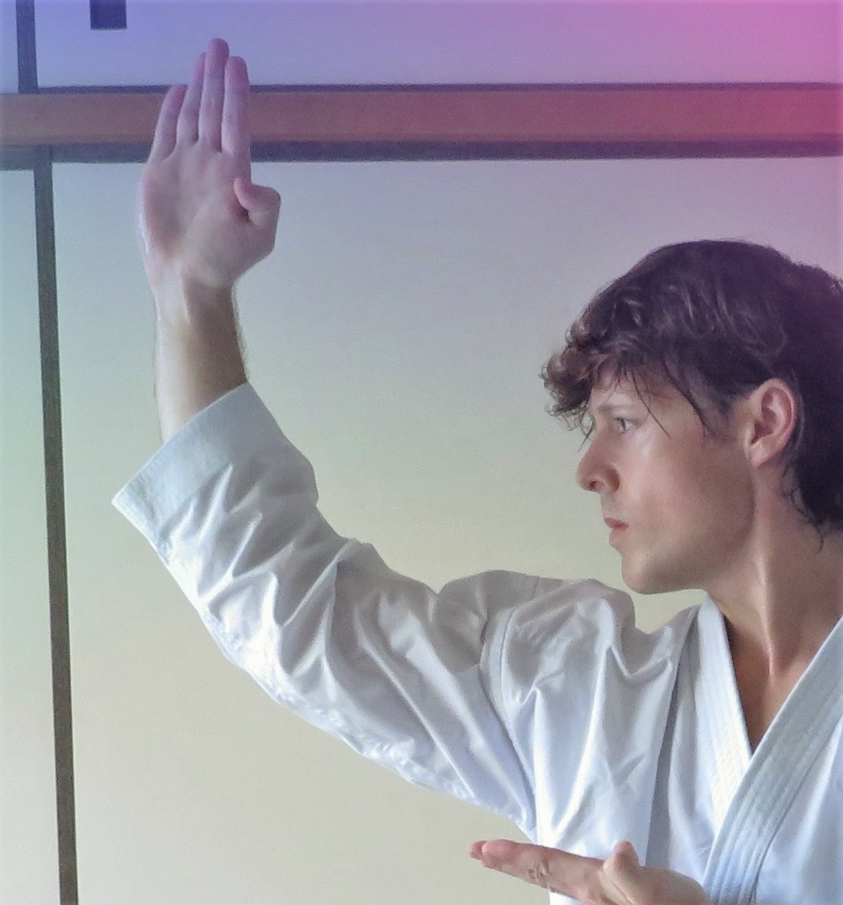 André Bertel's Karate-Do: The 'Best Style' of Karate