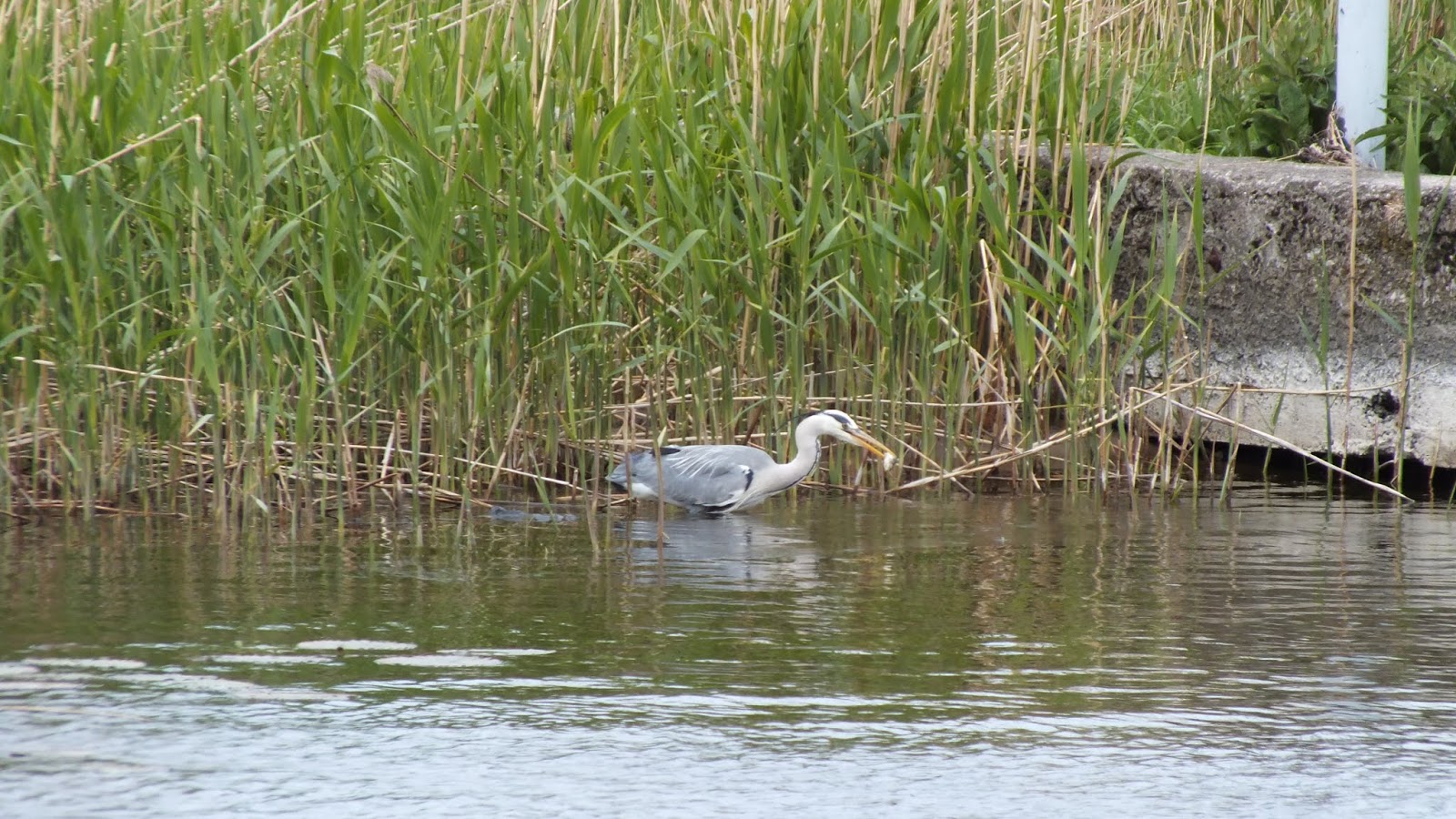 just: gegužės 2019