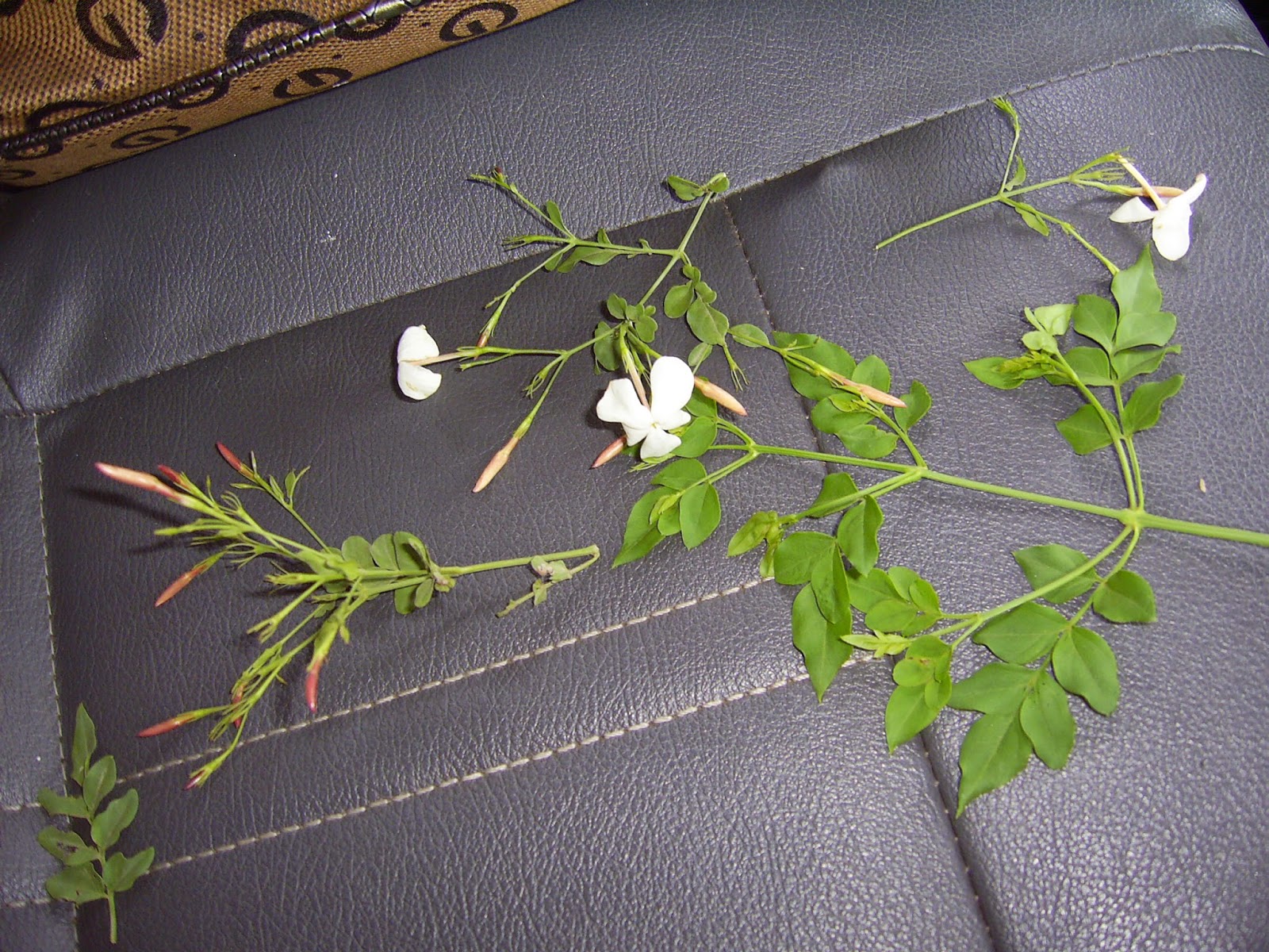 Endah Murniyati's Journey: MELATI GAMBIR - PART 3