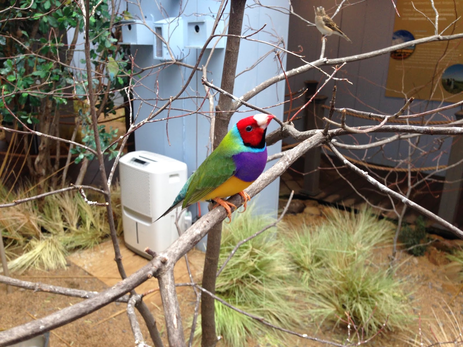 National Aviary