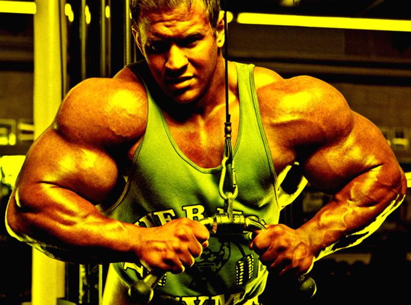 Overseas Fitness Gym - Bodybuilding Tips - Muscle Workout Routines How ...