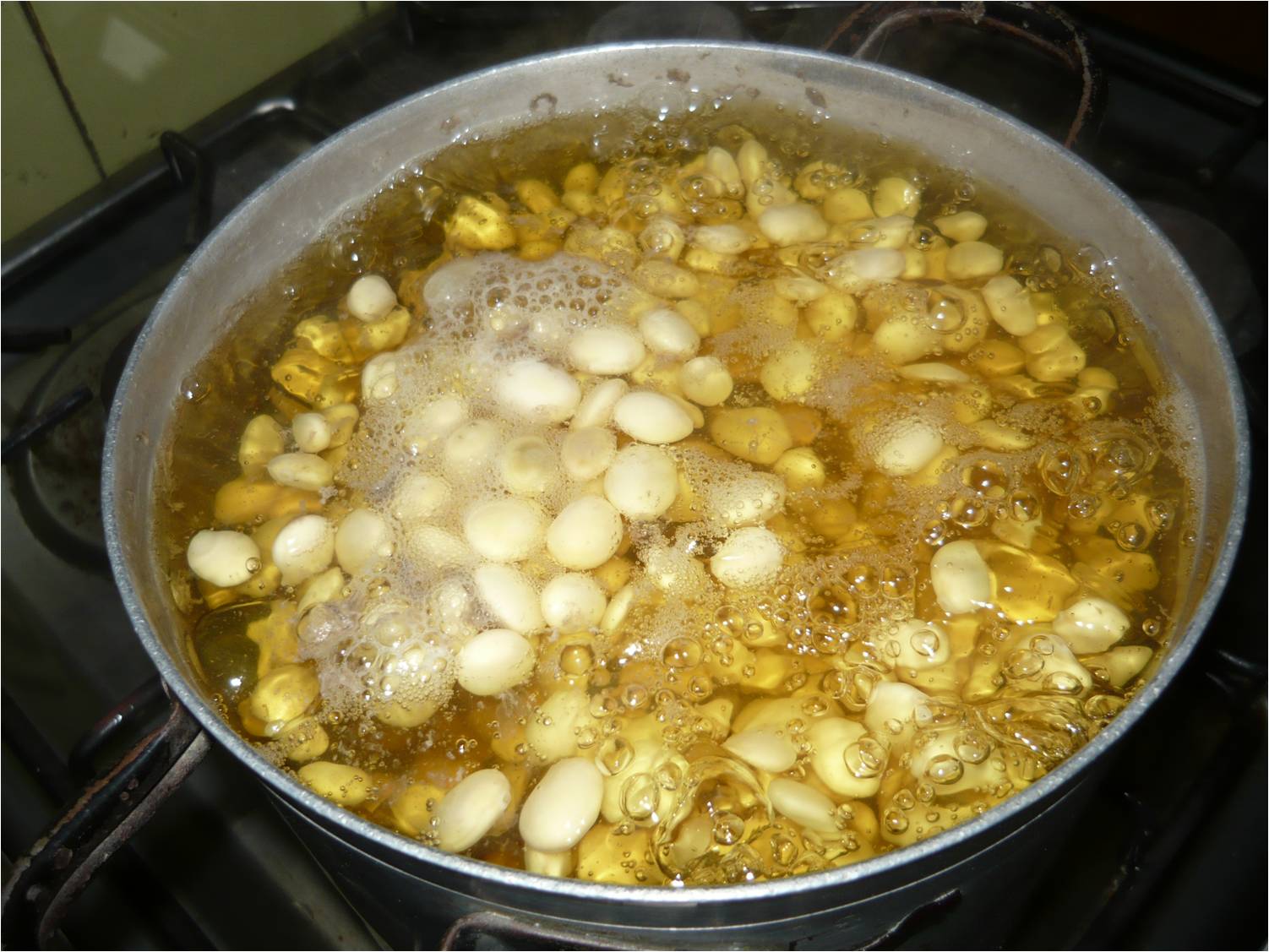 ALTERNATIVA ECOLÓGICA: PREPARADO CASERO A BASE DE TARWI (LUPINUS MUTABILIS)