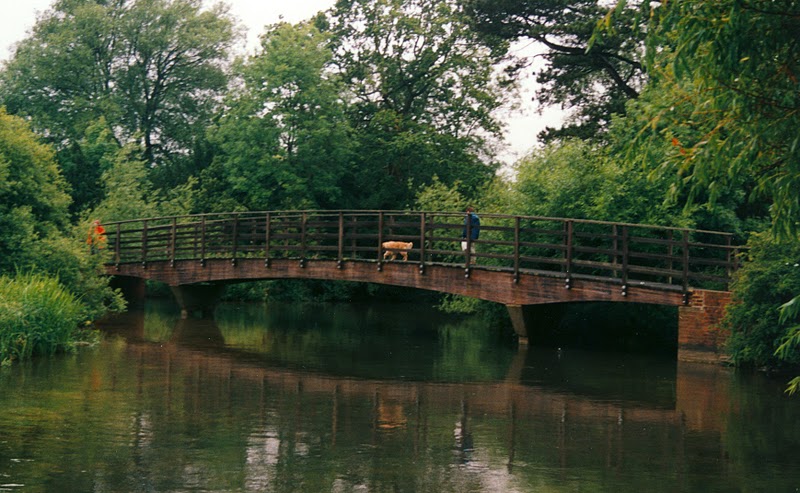 Bridge of the Week: February 2010