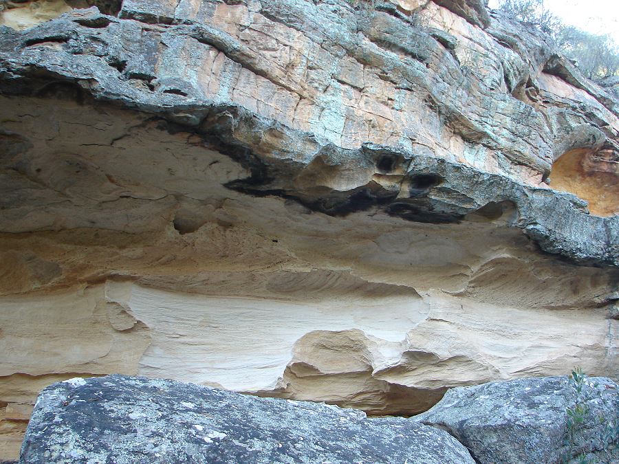 Snap Happy Birding: Hands on Rock, Mudgee