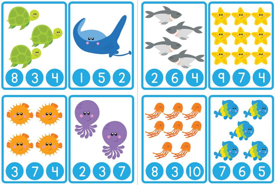 Plastificando ilusiones: Grafía-cantidad con los animales del mar