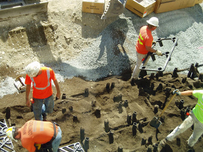 (a) biotic design studio: Reference Guide for Structural Soil