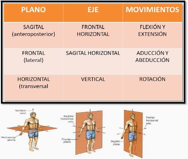 Biomecanica Del Miembro Superior Planos Y Ejes De Movimiento