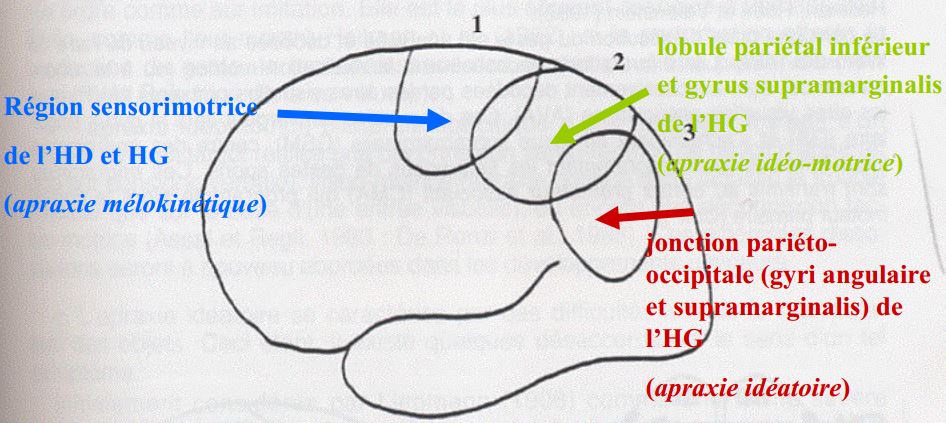 Un médecin du sport vous informe