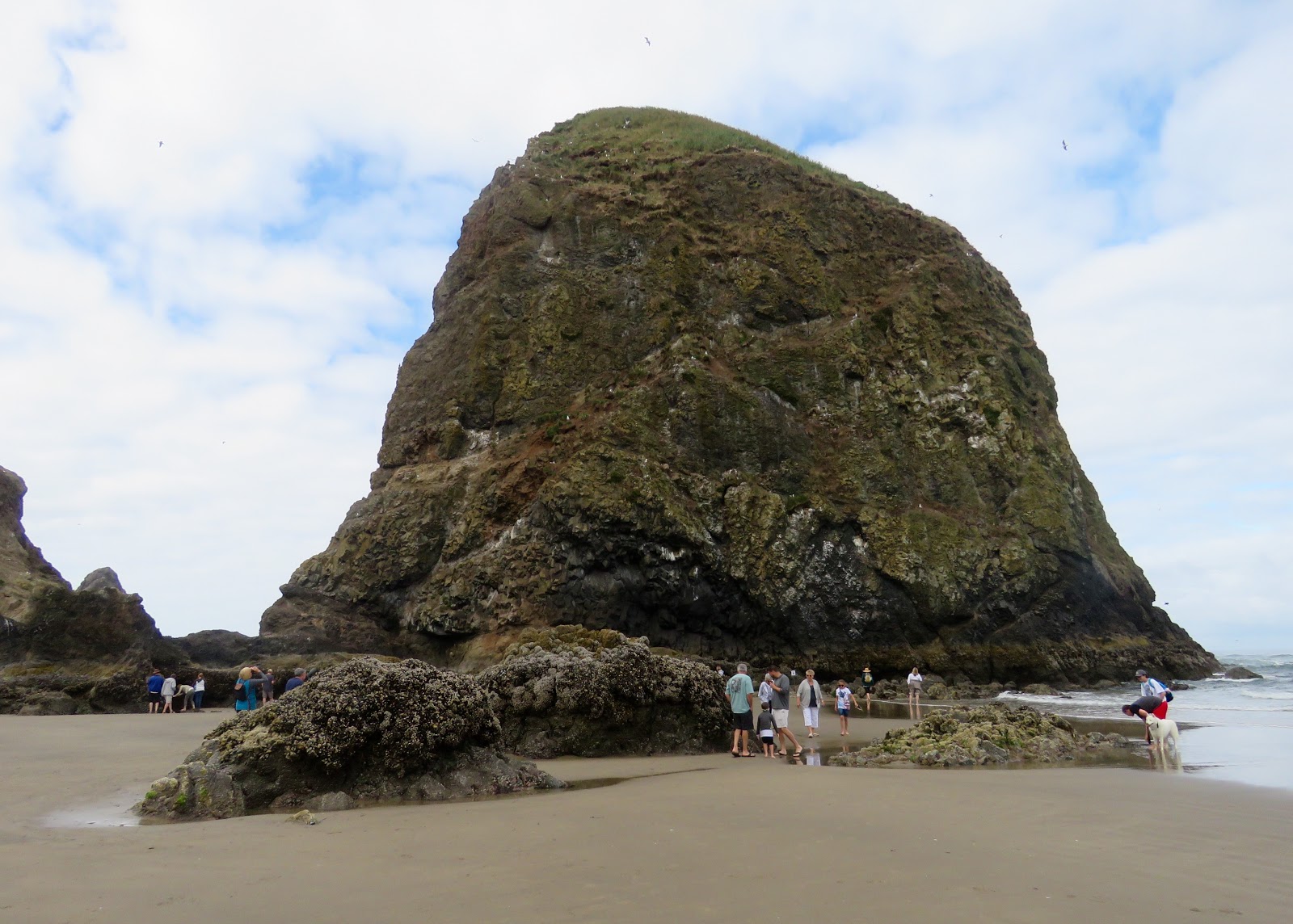 Winds of Destiny - RVLife: Low Tide at Haystack Rock, 6/21/2016