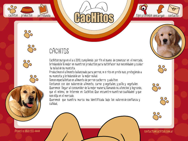 CPC diseños: Diseño de Marca