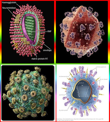 Adindah_OLShop: Sifat - Sifat VIRUS