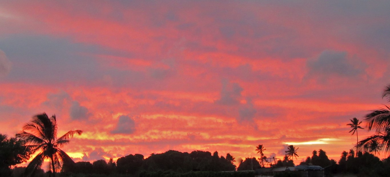 Bill's Excellent Adventures: Tuvalu