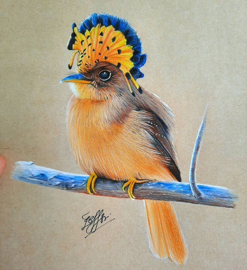 Design Stack: A Blog about Art, Design and Architecture: Drawings of 12 ...