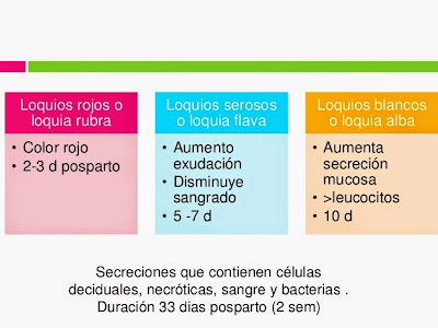 PRACTICA DE ENFERMERÍA EN LA SALUD REPRODUCTIVA: SANGRADO TRANSVAGINAL