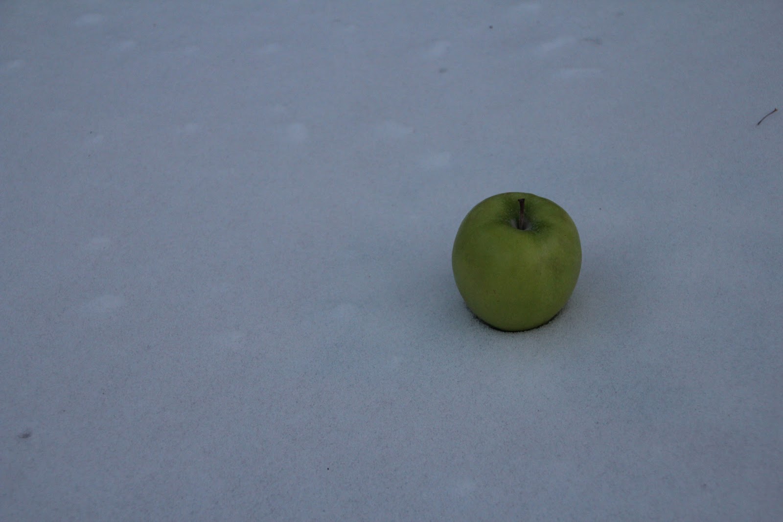 Ryan Perry ART 290: January 2013