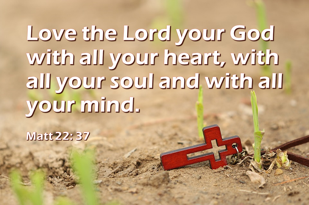 LiturgyTools.net: Pictures for the 30th Sunday in Ordinary Time, Year A