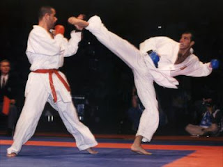 OLYMPIC KARATE SPORT CLUB - Sport Karate, Tang Soo Do : LES STARS DU ...